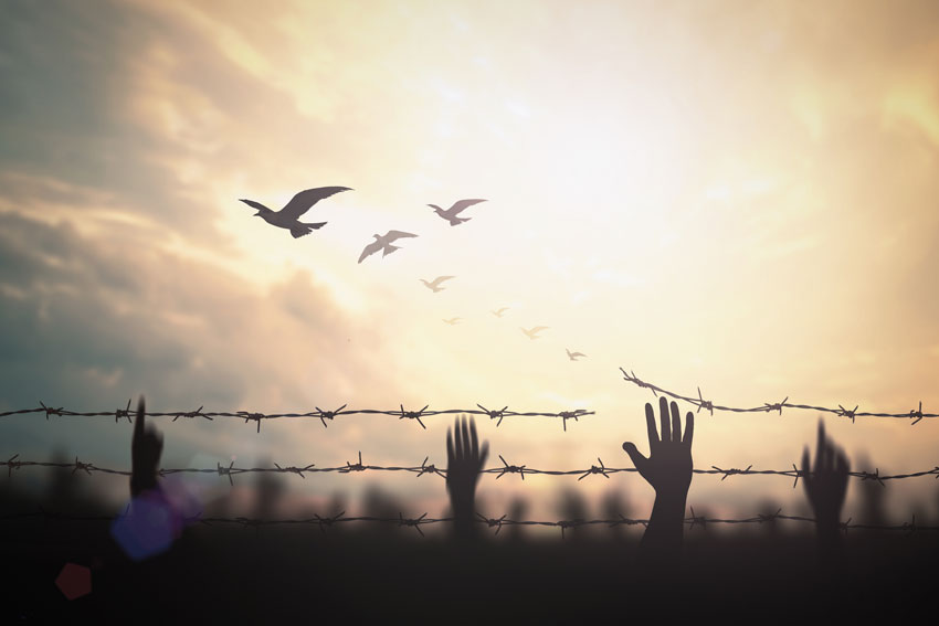 Remembering the Holocaust Victims - Media Diversity Institute