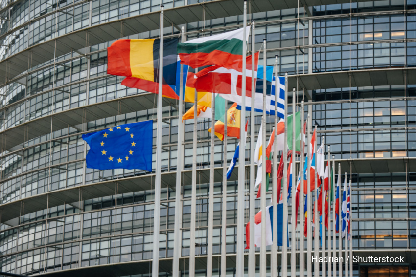 The European Media Freedom Act: An Interview with Renate Schroeder ...