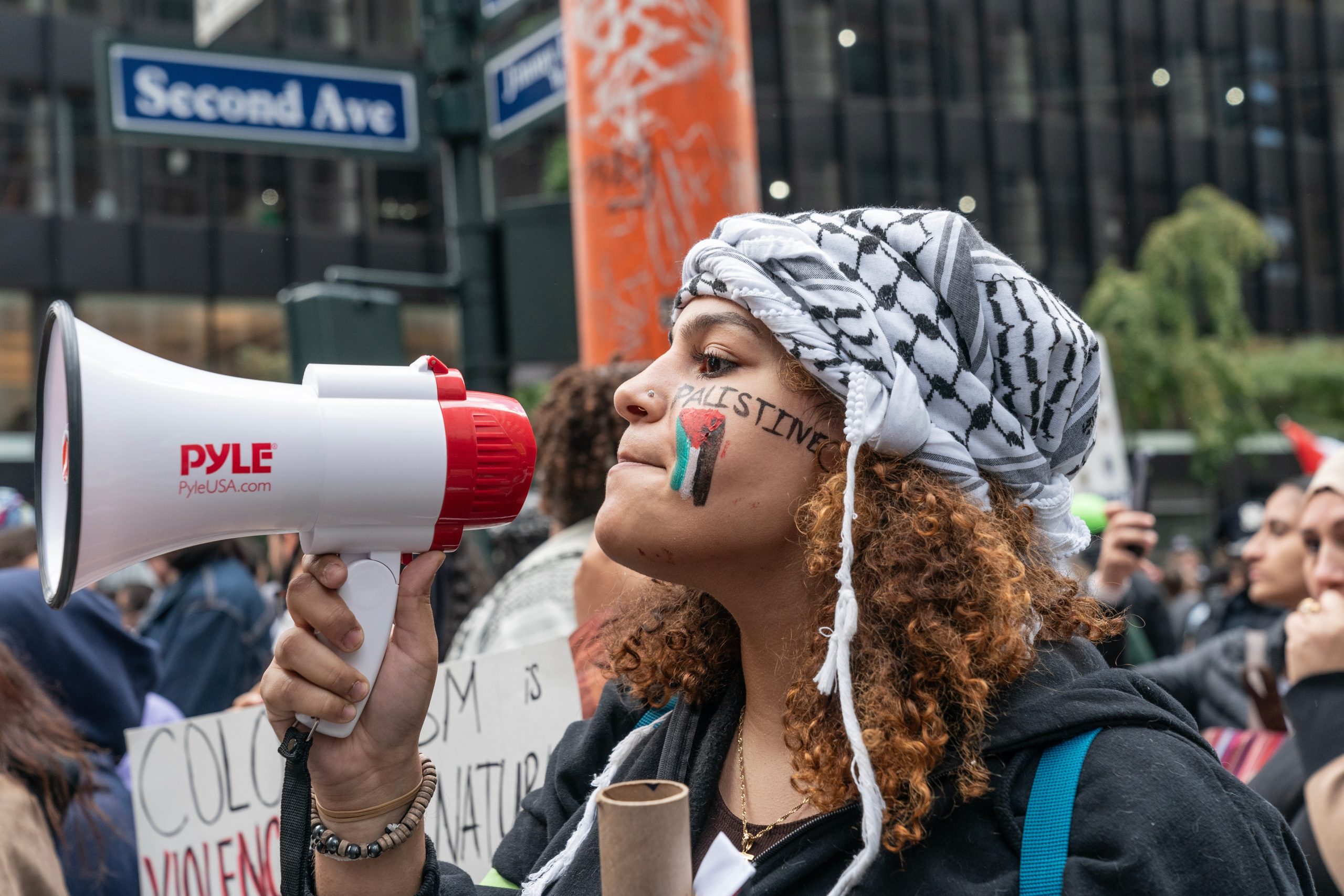The war in Gaza and global solidarity movements - Media Diversity Institute