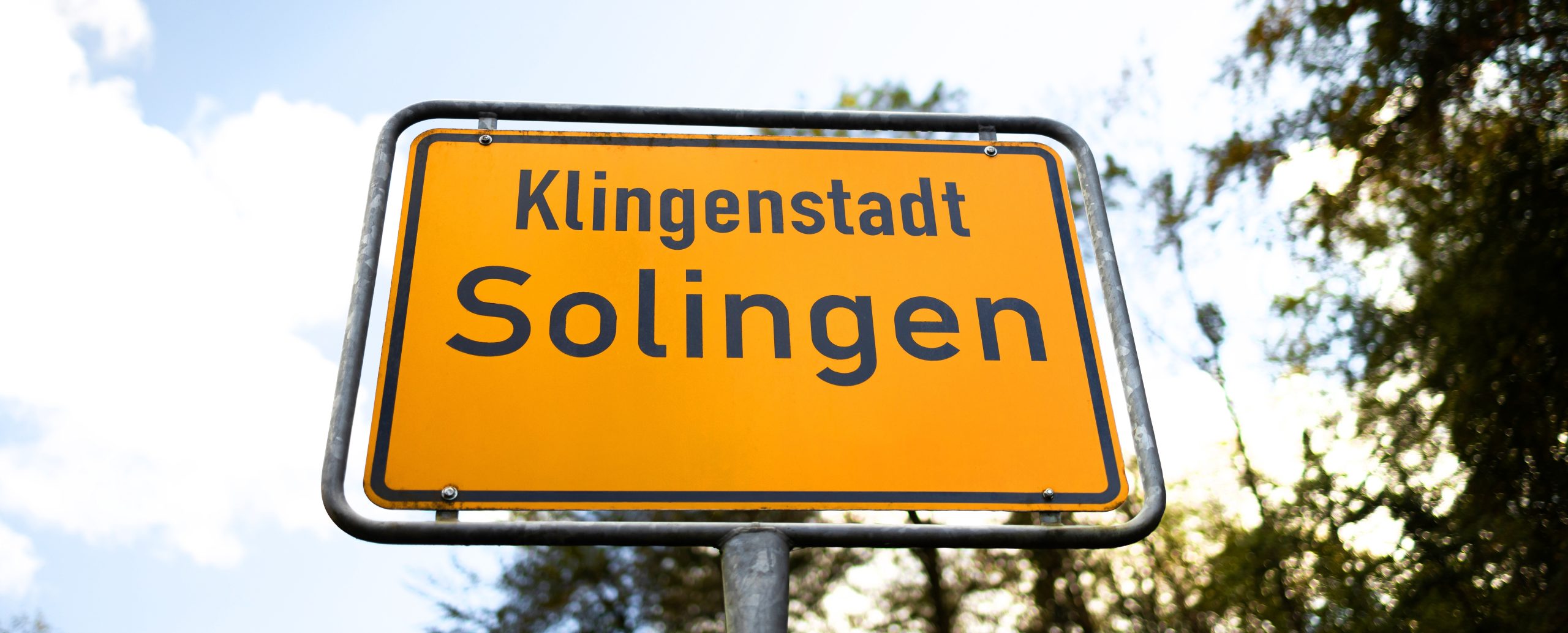 German media reporting on the attack in Solingen - Media Diversity ...